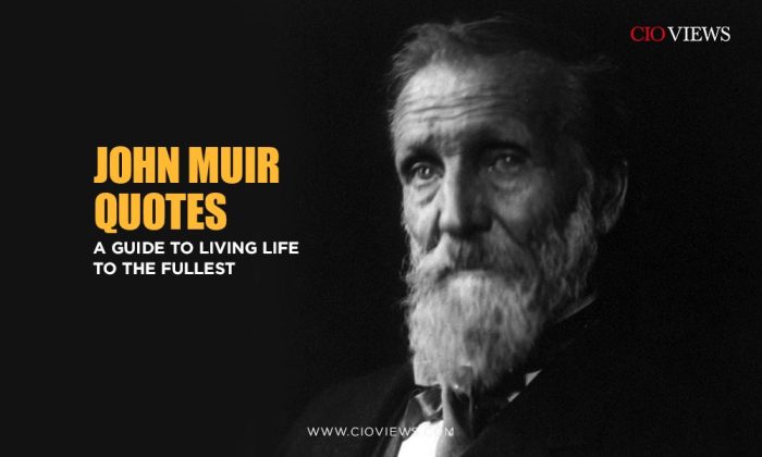 20 Best John Muir Quotes: A Guide to Living Life to the Fullest